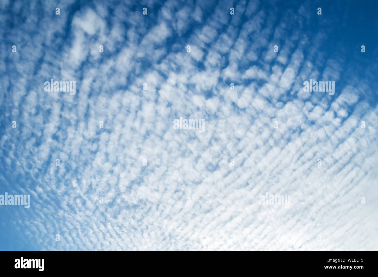 Blue dramatic sky background - picturesque colorful clouds lit by ...