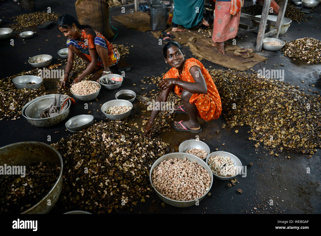 Nut cracking process hi-res stock photography and images - Alamy