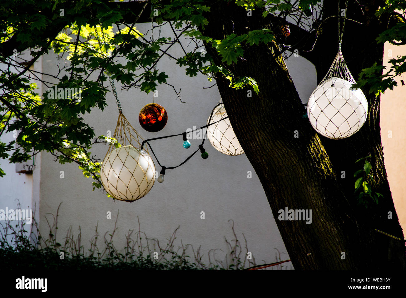 Light bulb hanging from tree hi-res stock photography and images - Alamy