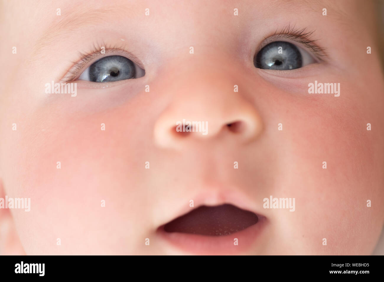 Smallest Nose In The World