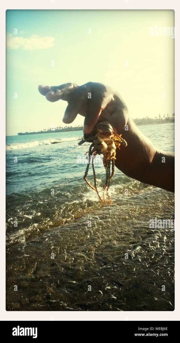 Part Man Part Creature High Resolution Stock Photography and Images - Alamy