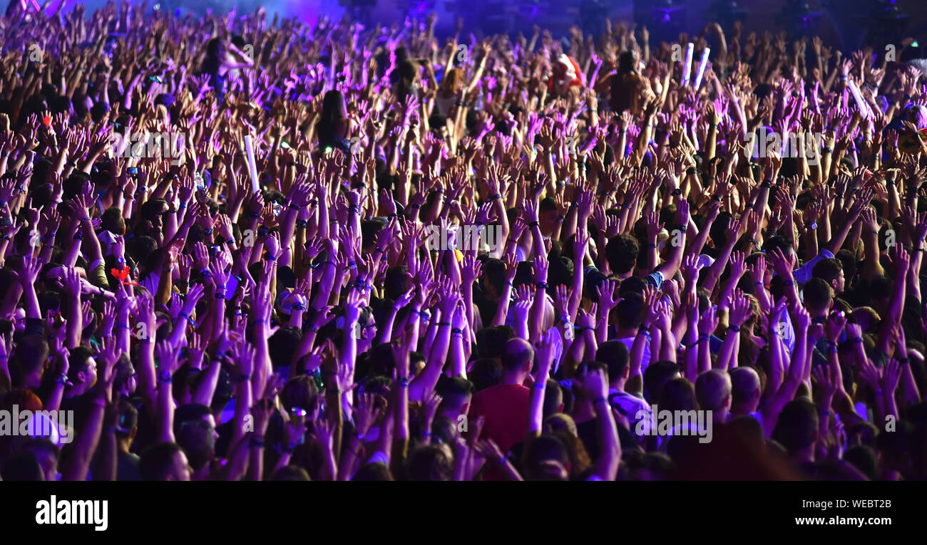 Crowds Of People At Concert