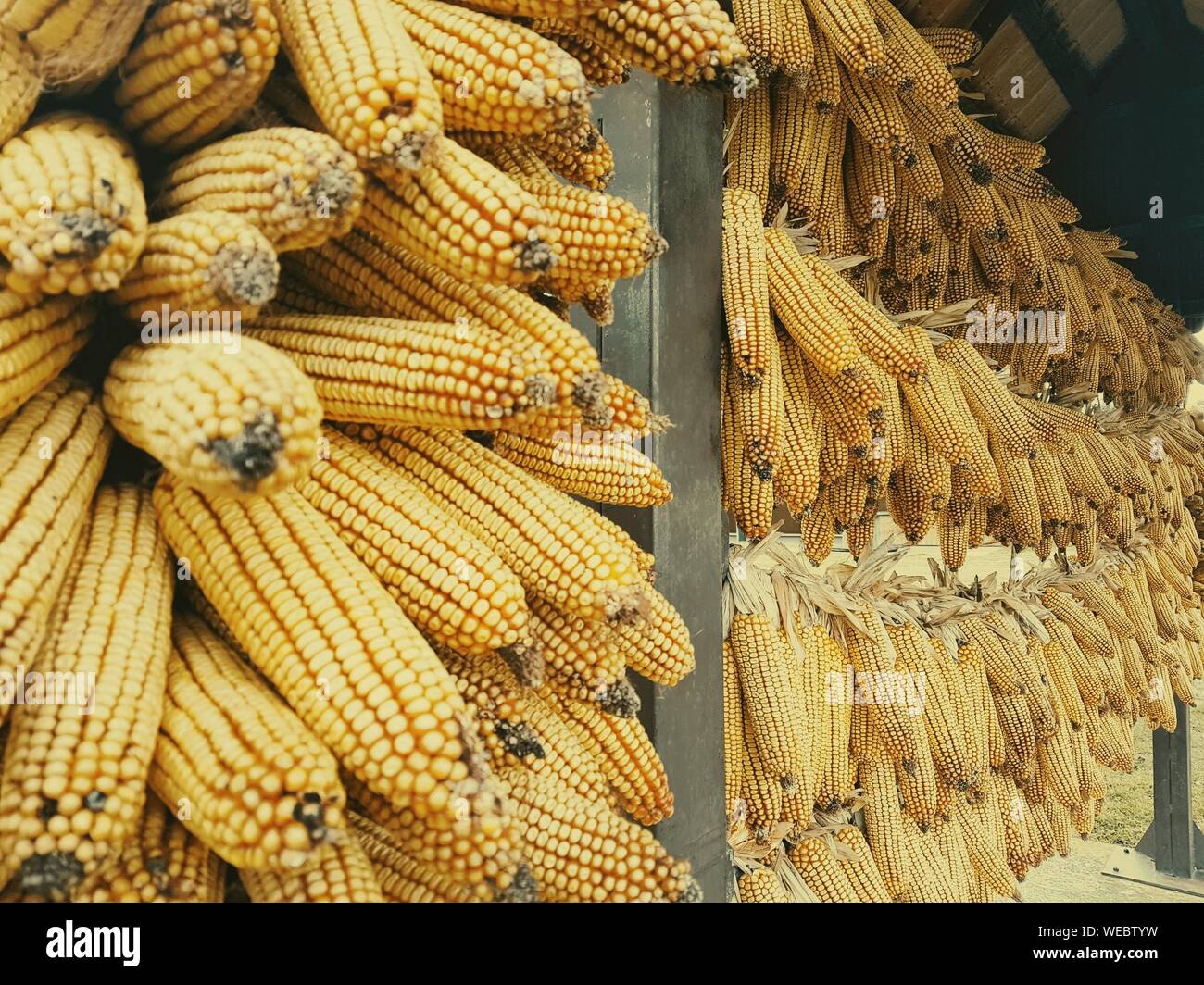 Drying Shed High Resolution Stock Photography and Images - Alamy