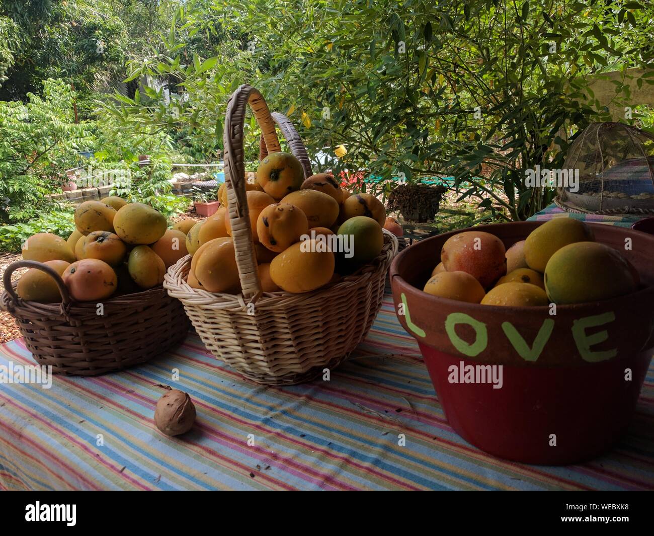 Basket of mangoes hi-res stock photography and images - Alamy