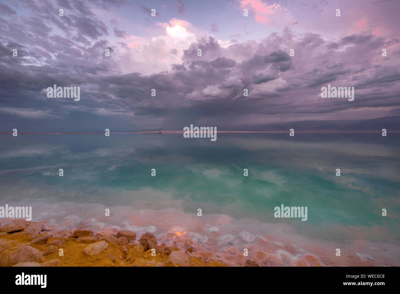 Dead sea nature hi-res stock photography and images - Alamy
