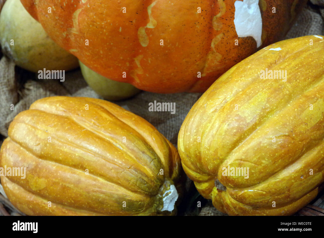 Different varieties of squashes and pumpkins at the market. Colorful ...