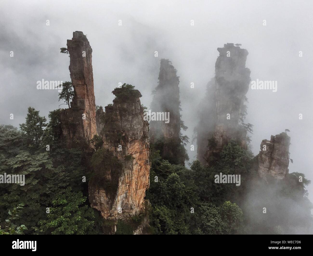 Forest Of Pillars High Resolution Stock Photography and Images - Alamy