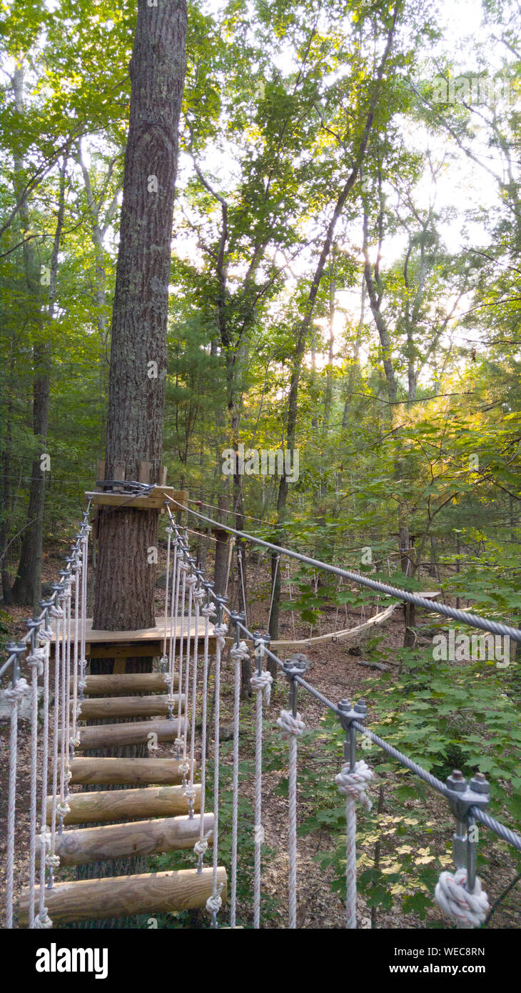 Rope bridge and trees hi-res stock photography and images - Alamy