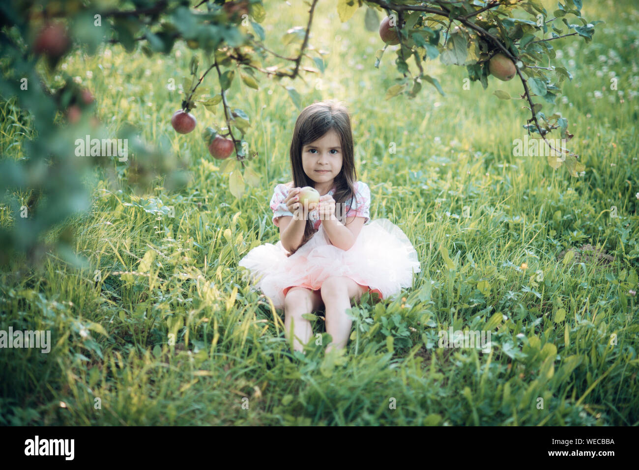 Sitting Under The Apple Tree High Resolution Stock Photography and ...