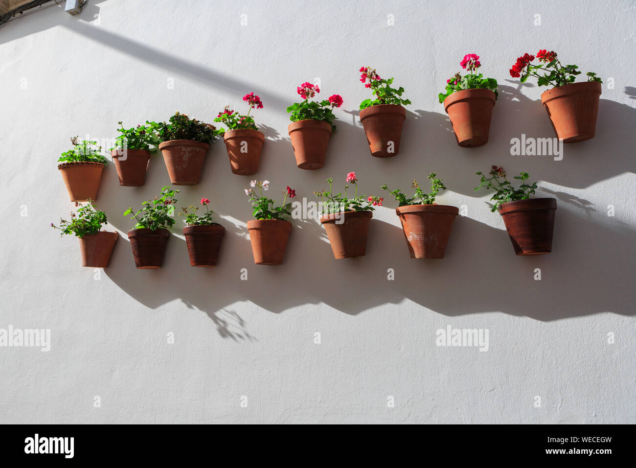 traditional flower pots on a white wall,Cordoba,Spain Stock Photo - Alamy