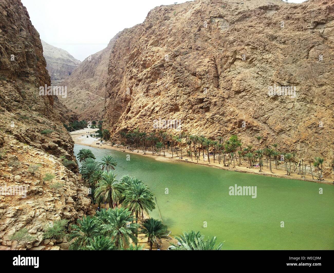 Wadi view hi-res stock photography and images - Alamy