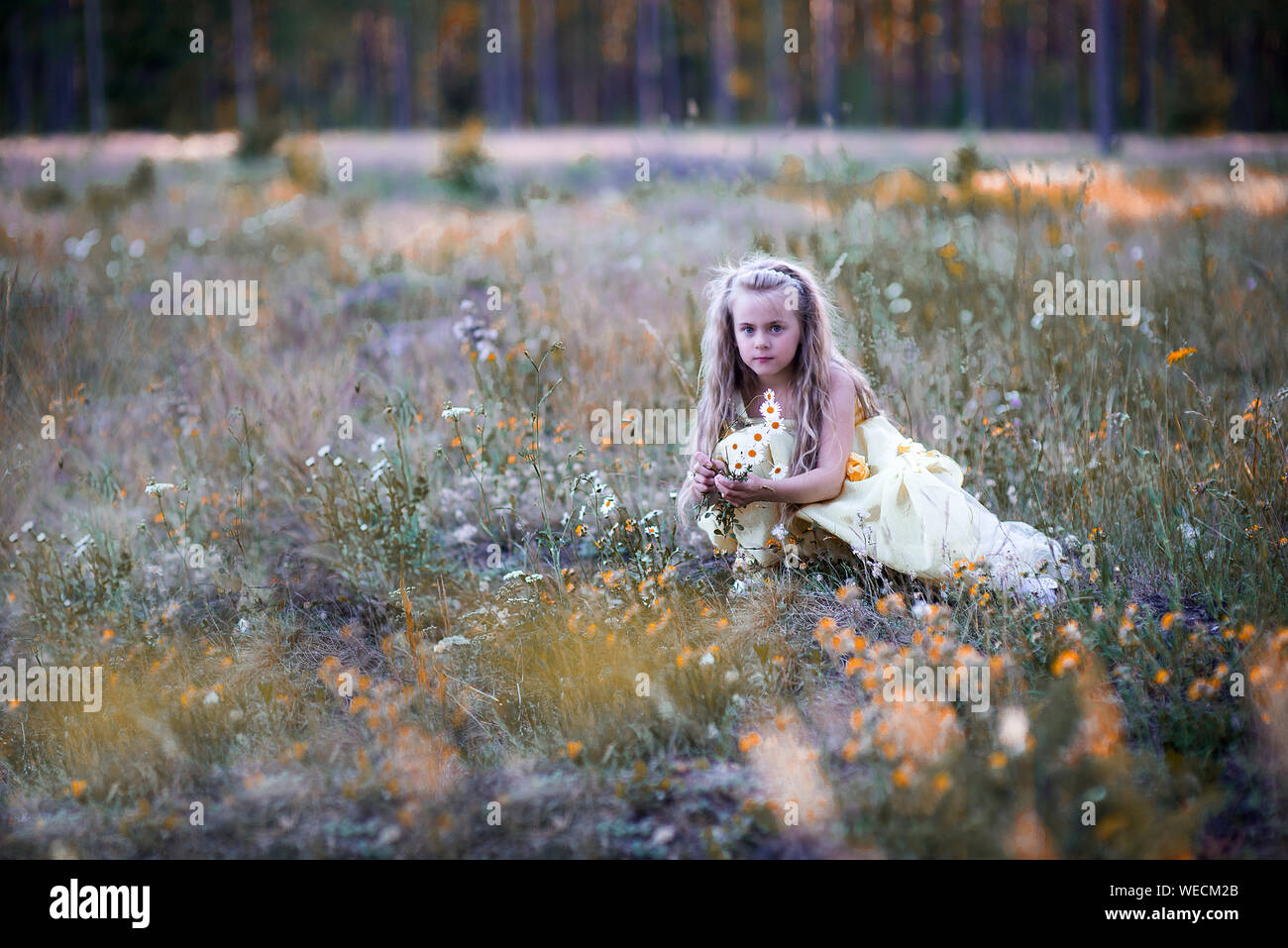 Girl collecting flowers hi-res stock photography and images - Alamy