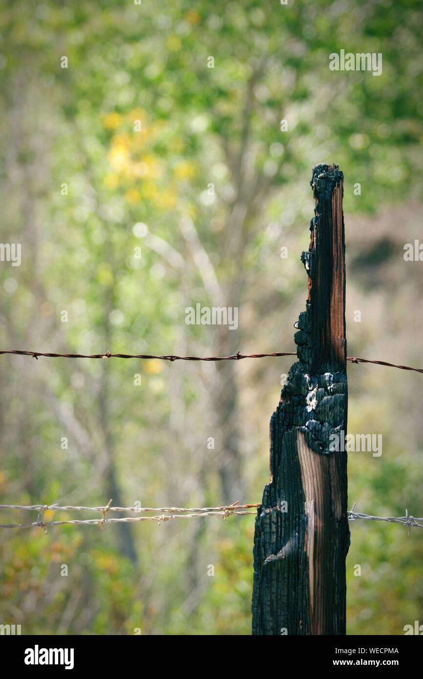 Burnt fence post hi-res stock photography and images - Alamy