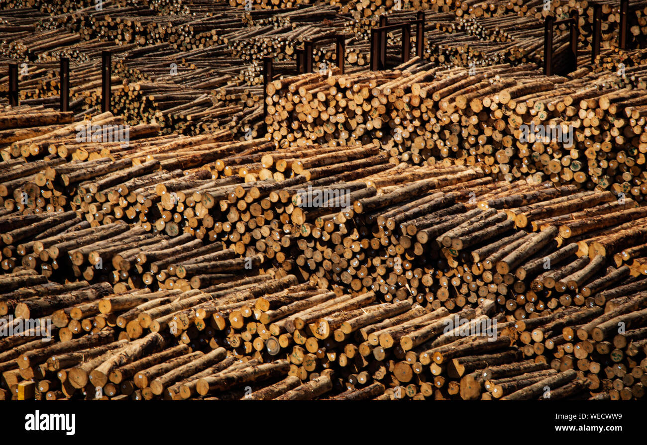 Logs new zealand hi-res stock photography and images - Alamy