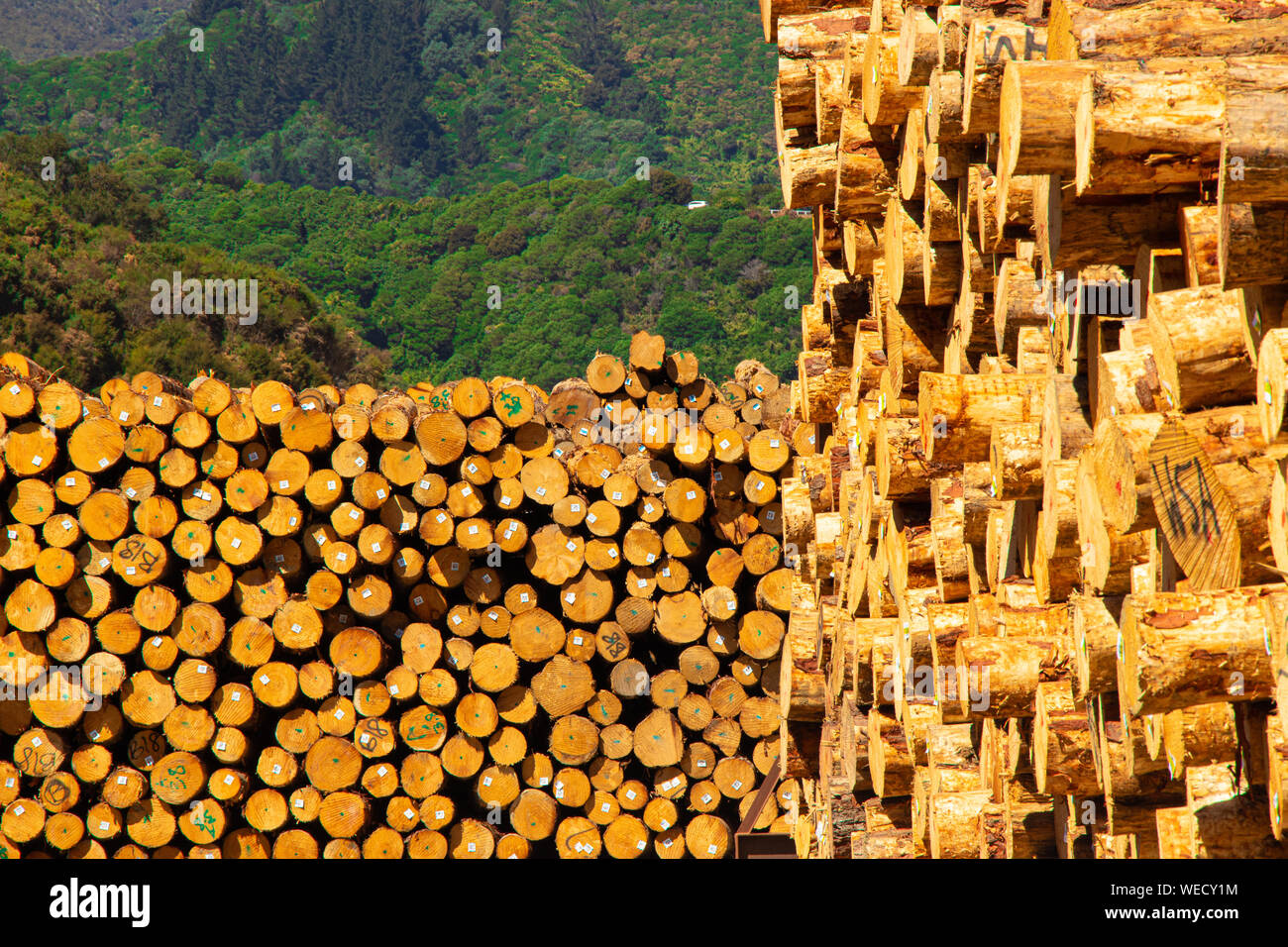 Logs port hi-res stock photography and images - Alamy