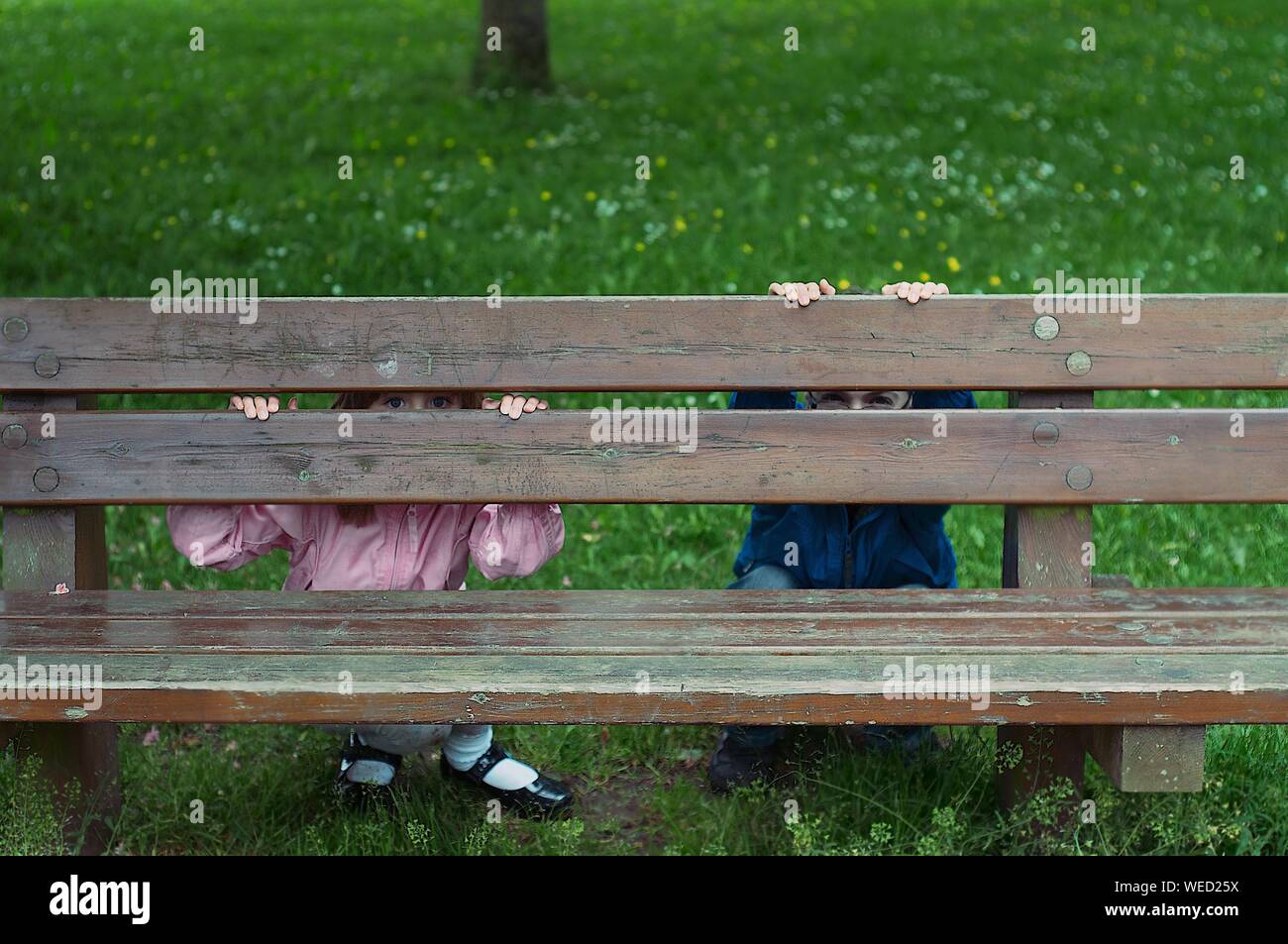 Park bench behind hi-res stock photography and images - Alamy