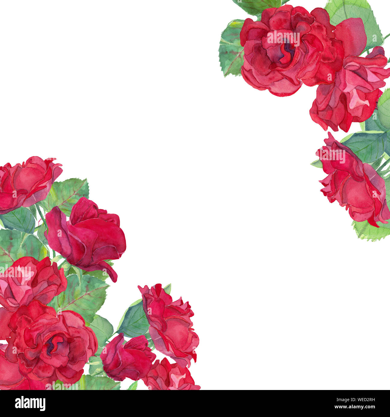 Red Roses Borders And Frames