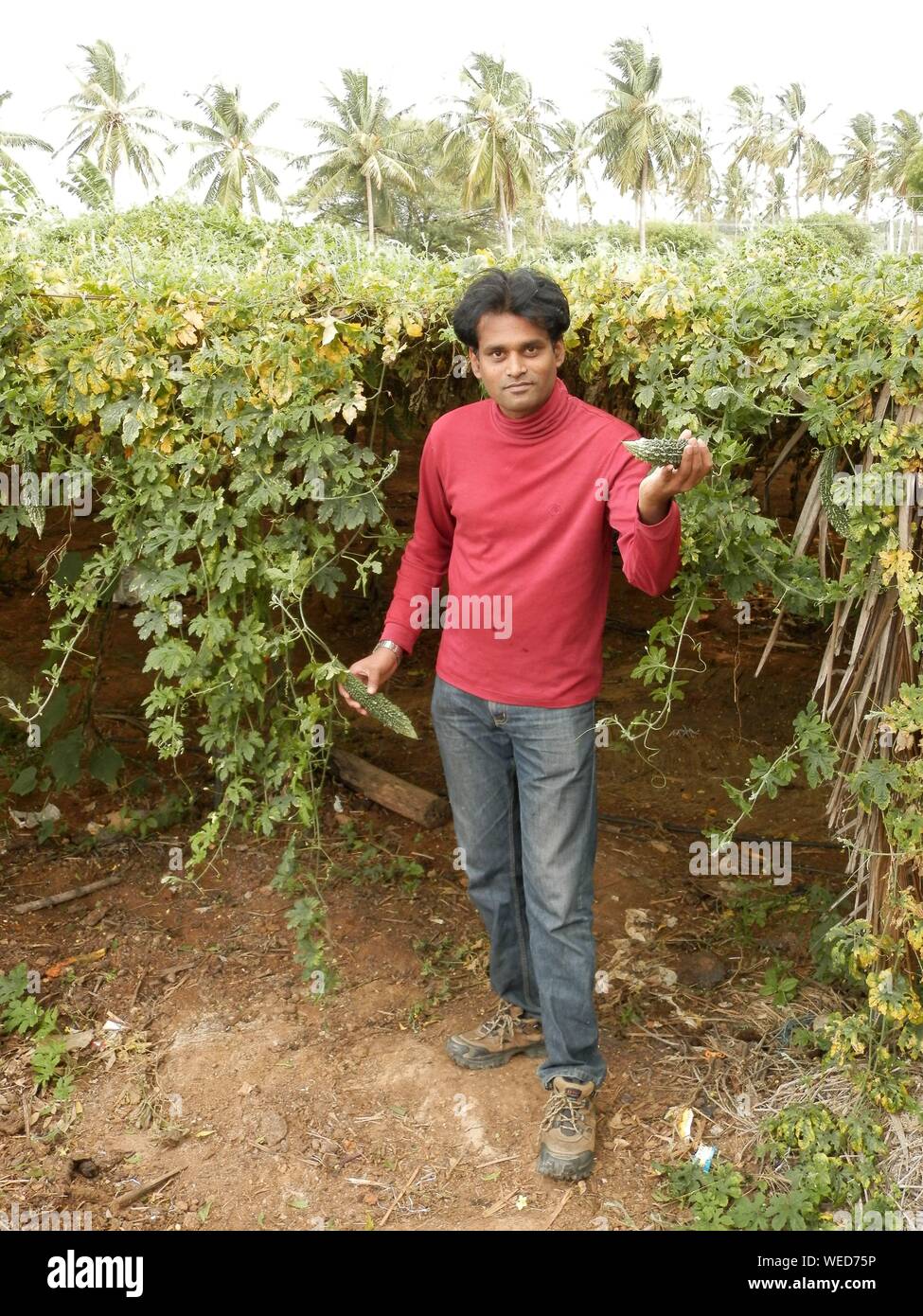 Bitter man hi-res stock photography and images - Alamy