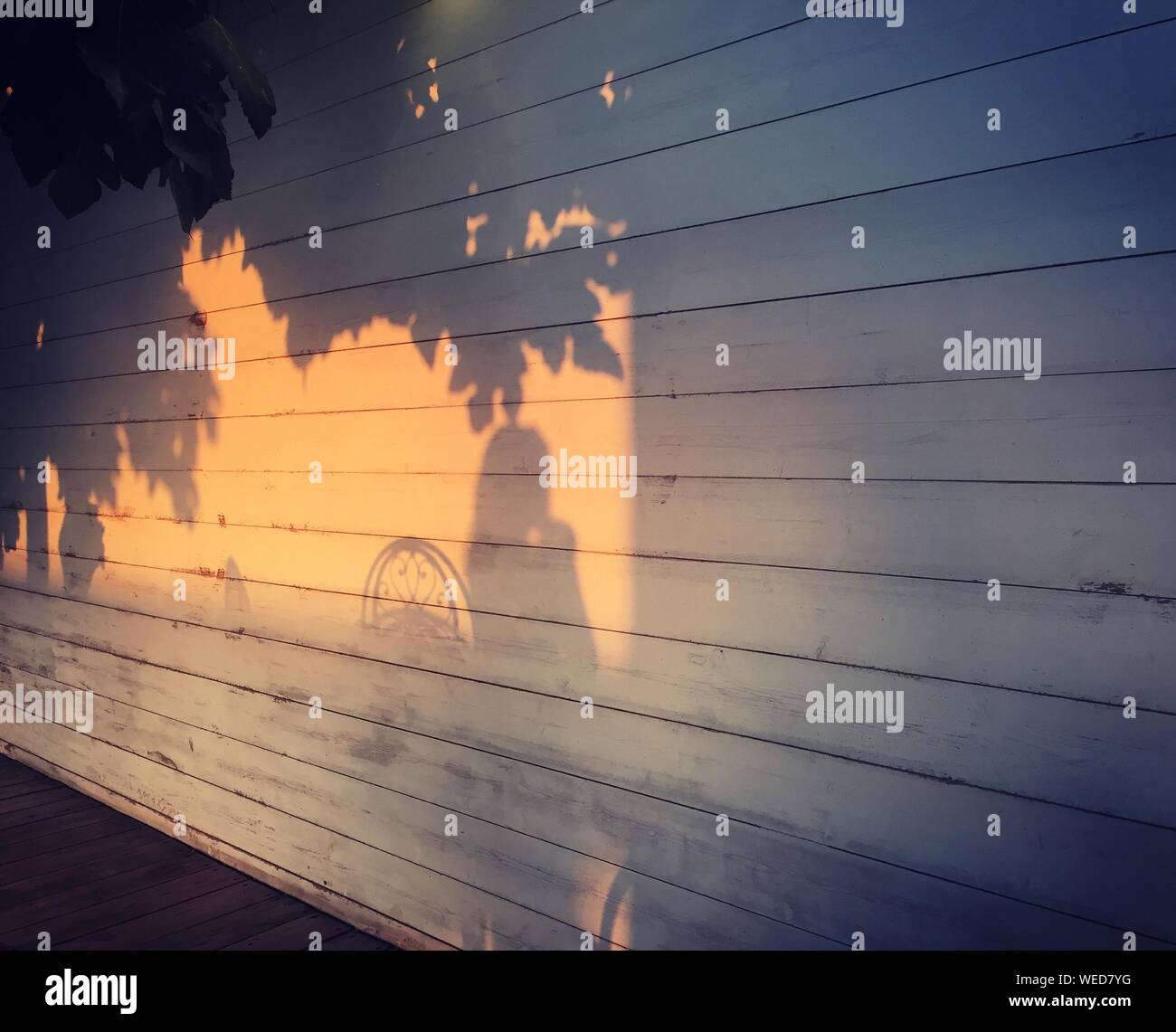 Back shadow hi-res stock photography and images - Alamy