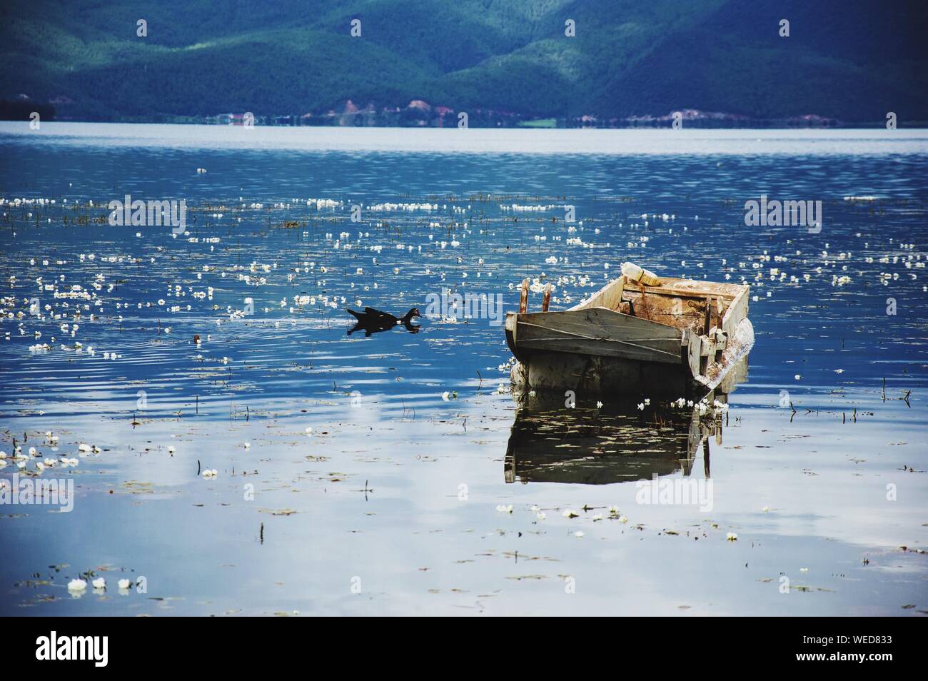 Sinking river hi-res stock photography and images - Alamy
