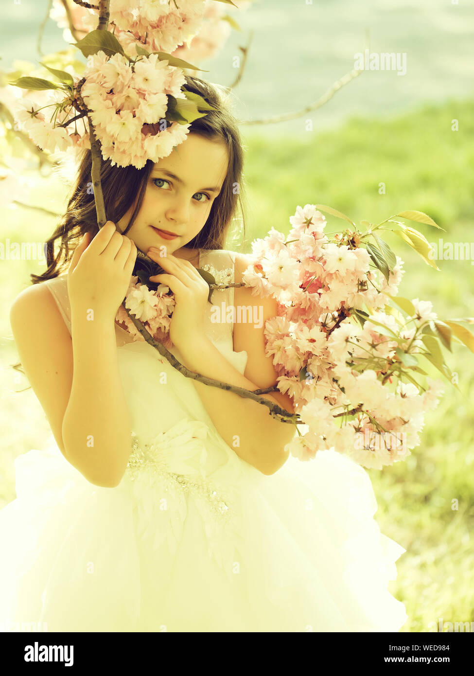 Little girl in spring bloom Stock Photo - Alamy