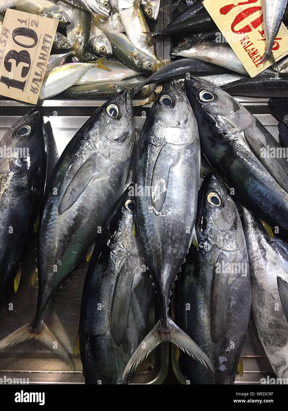 Yellowfin Tuna Sale At Market High Resolution Stock Photography and ...