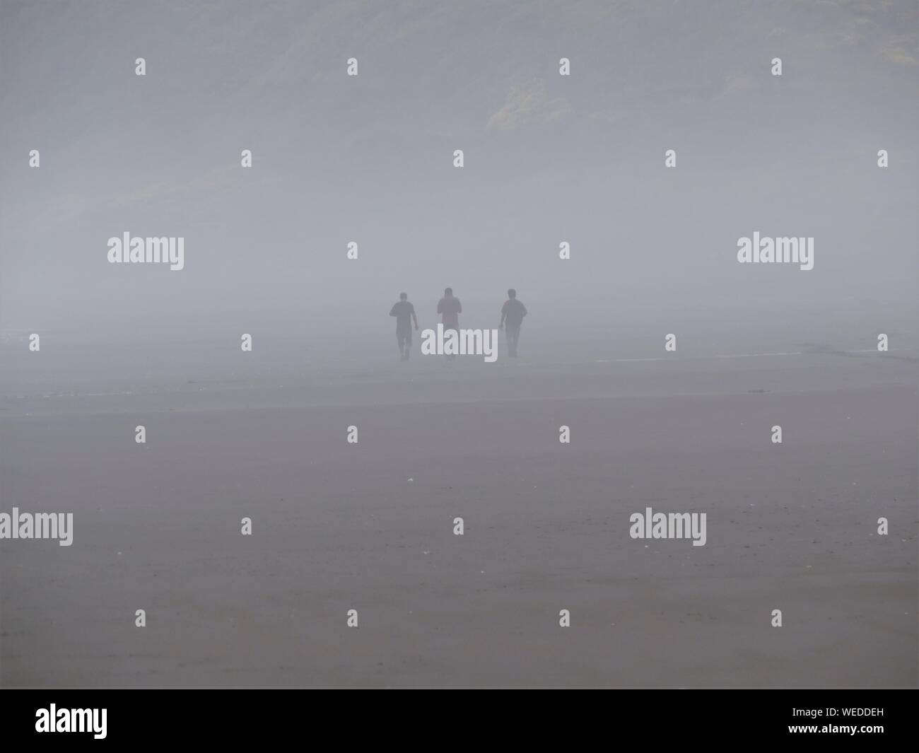 Friendship all weather hi-res stock photography and images - Alamy