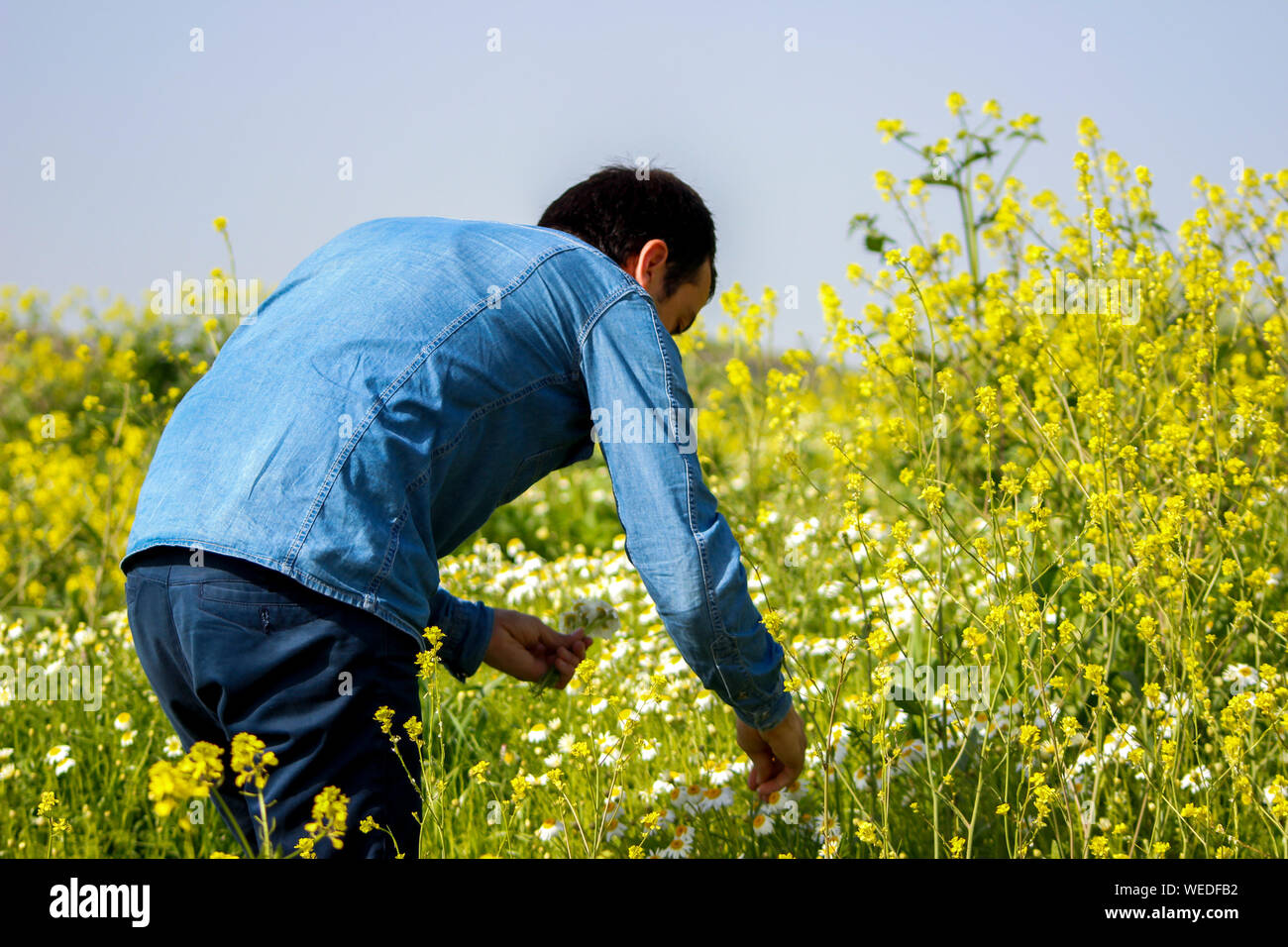 Picking flowers hi-res stock photography and images - Alamy