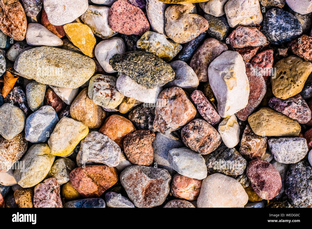 Landscape architecture, interior design and nature elements concept ...