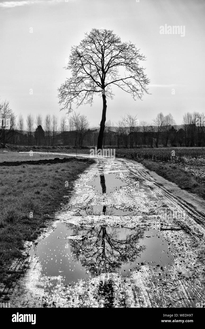 Puddle field Black and White Stock Photos & Images - Alamy