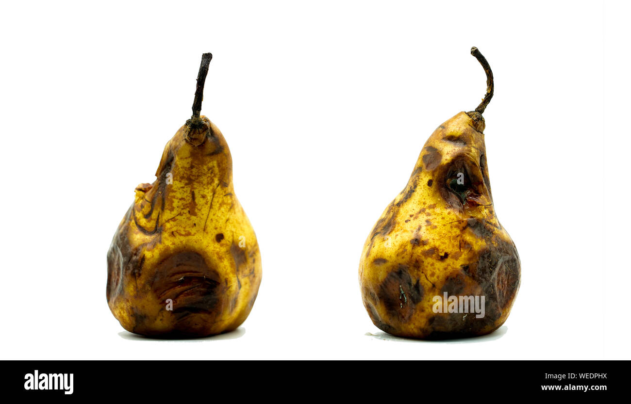 Healthy unhealthy plant hi-res stock photography and images - Alamy