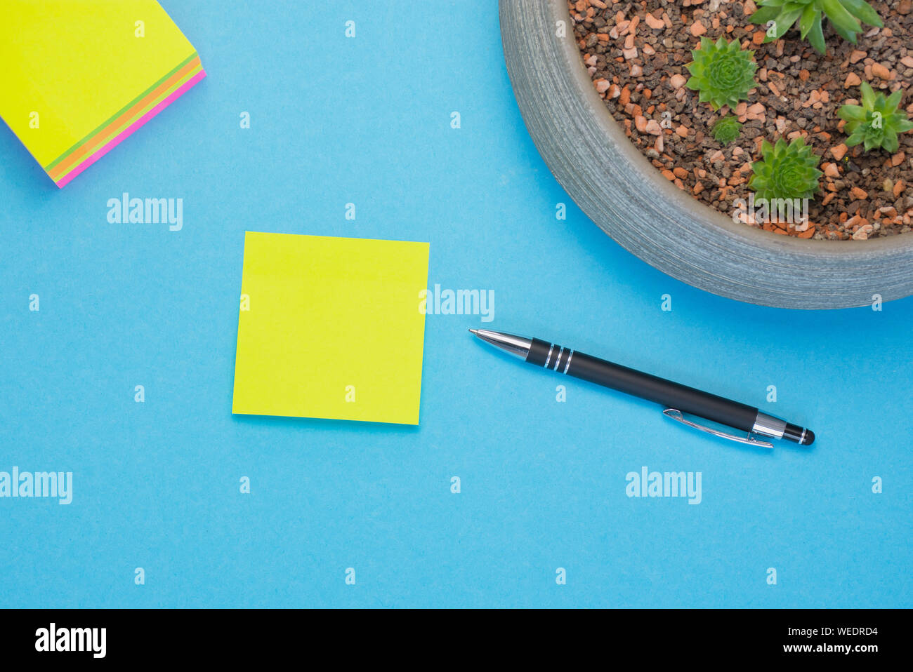 Adhesive label hi-res stock photography and images - Alamy