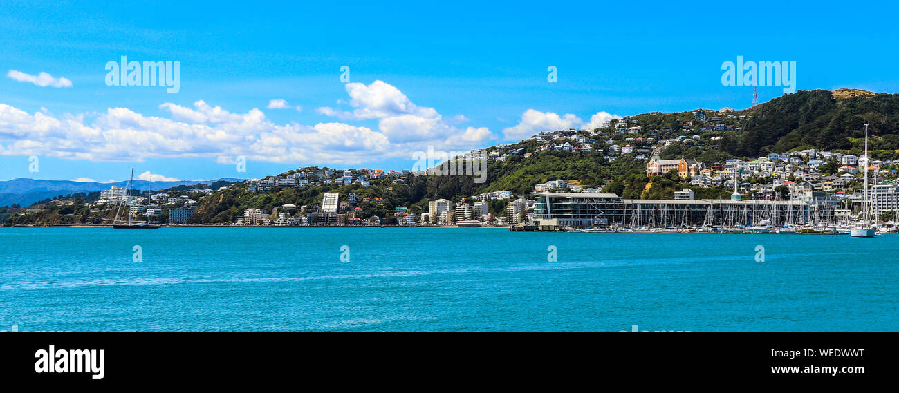 Wellington statue new zealand hi-res stock photography and images - Alamy