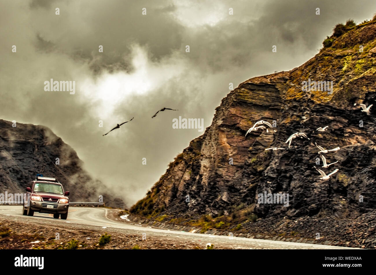 Birds Flying In Formations High Resolution Stock Photography and Images ...