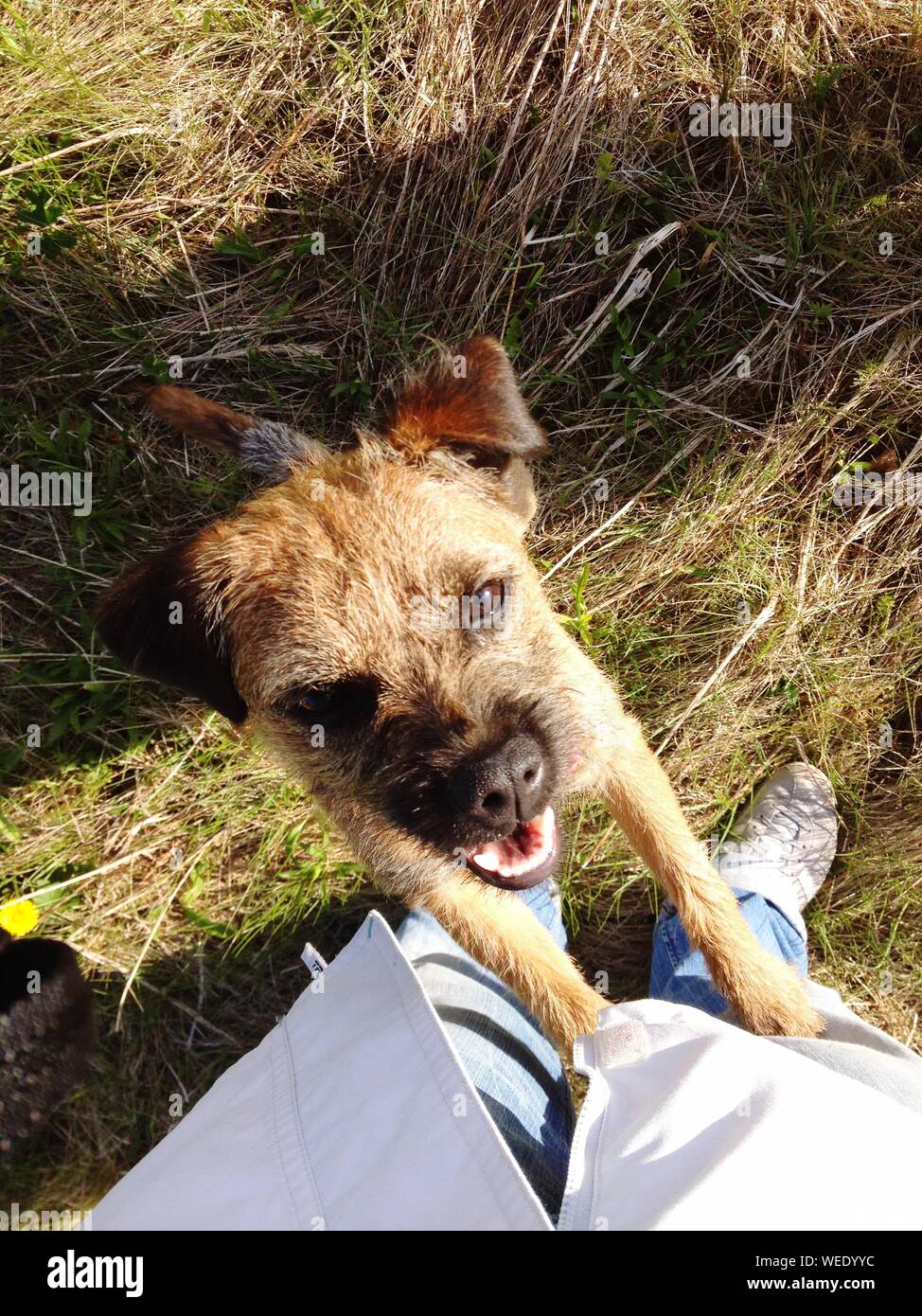 Human rearing hi-res stock photography and images - Alamy