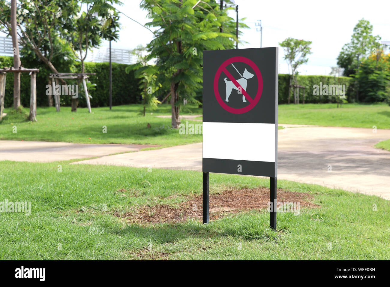 The sign indicates that dogs are not allowed in this area. Signs ...