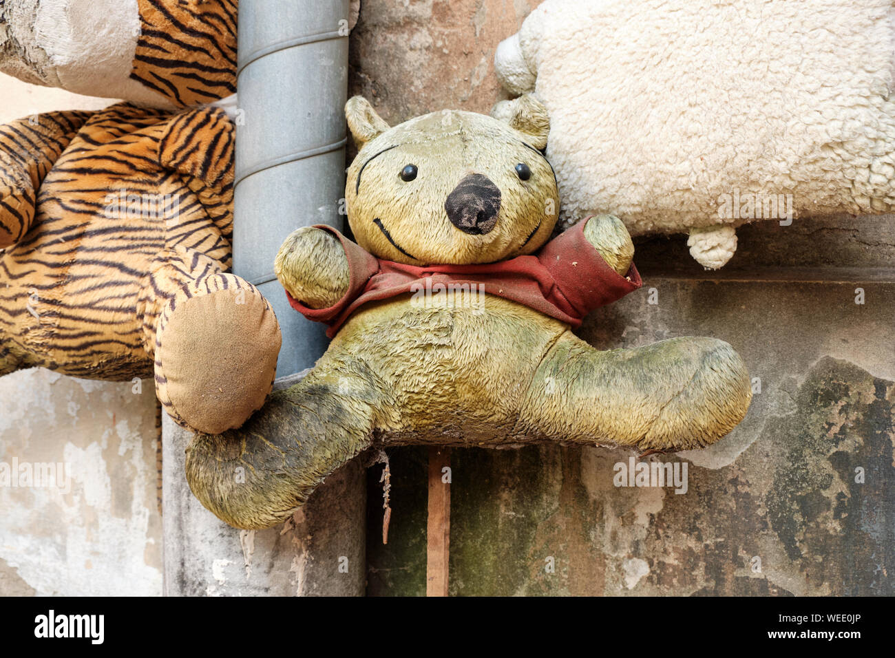 Vintage Stuff bear in Collection of abandoned stuffed animals in the ...