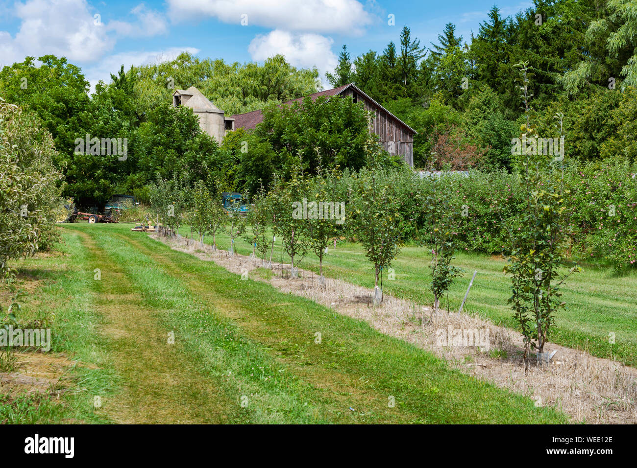Orchard barn hi-res stock photography and images - Alamy