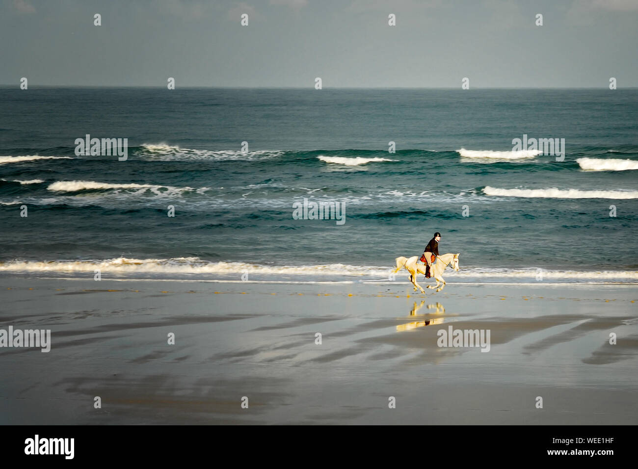 Woman riding horse sea hi-res stock photography and images - Alamy