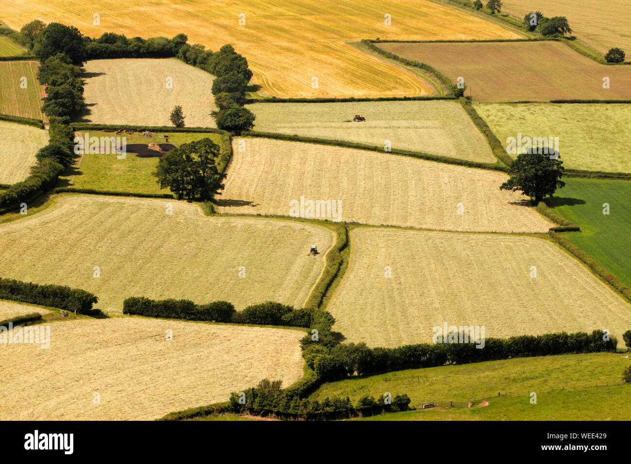 Mosaic of fields being farmed. British Countryside. Farming. Patchwork ...