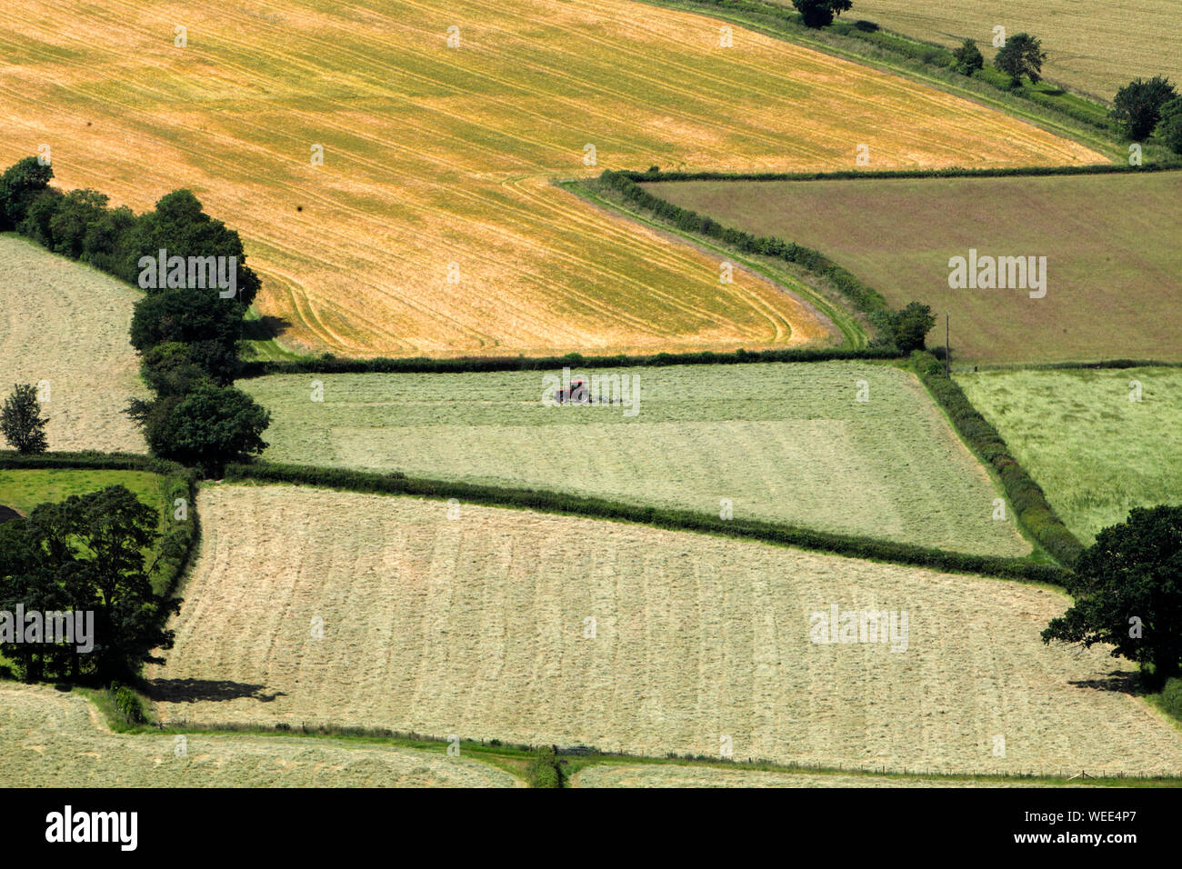 Patchwork fields aerial hi-res stock photography and images - Alamy