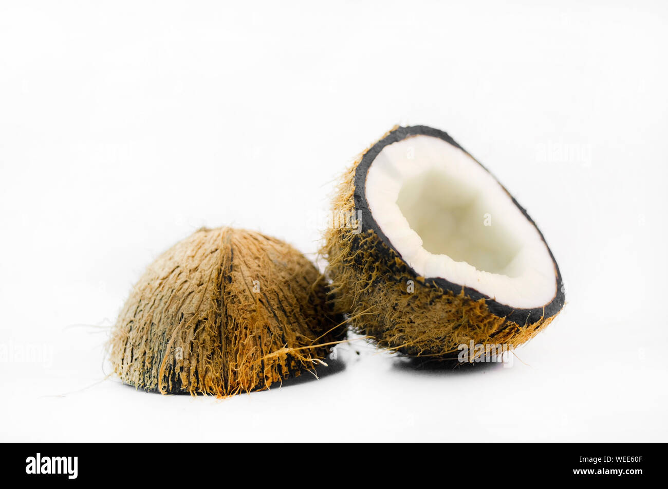 Coconut Cross Section High Resolution Stock Photography and Images - Alamy