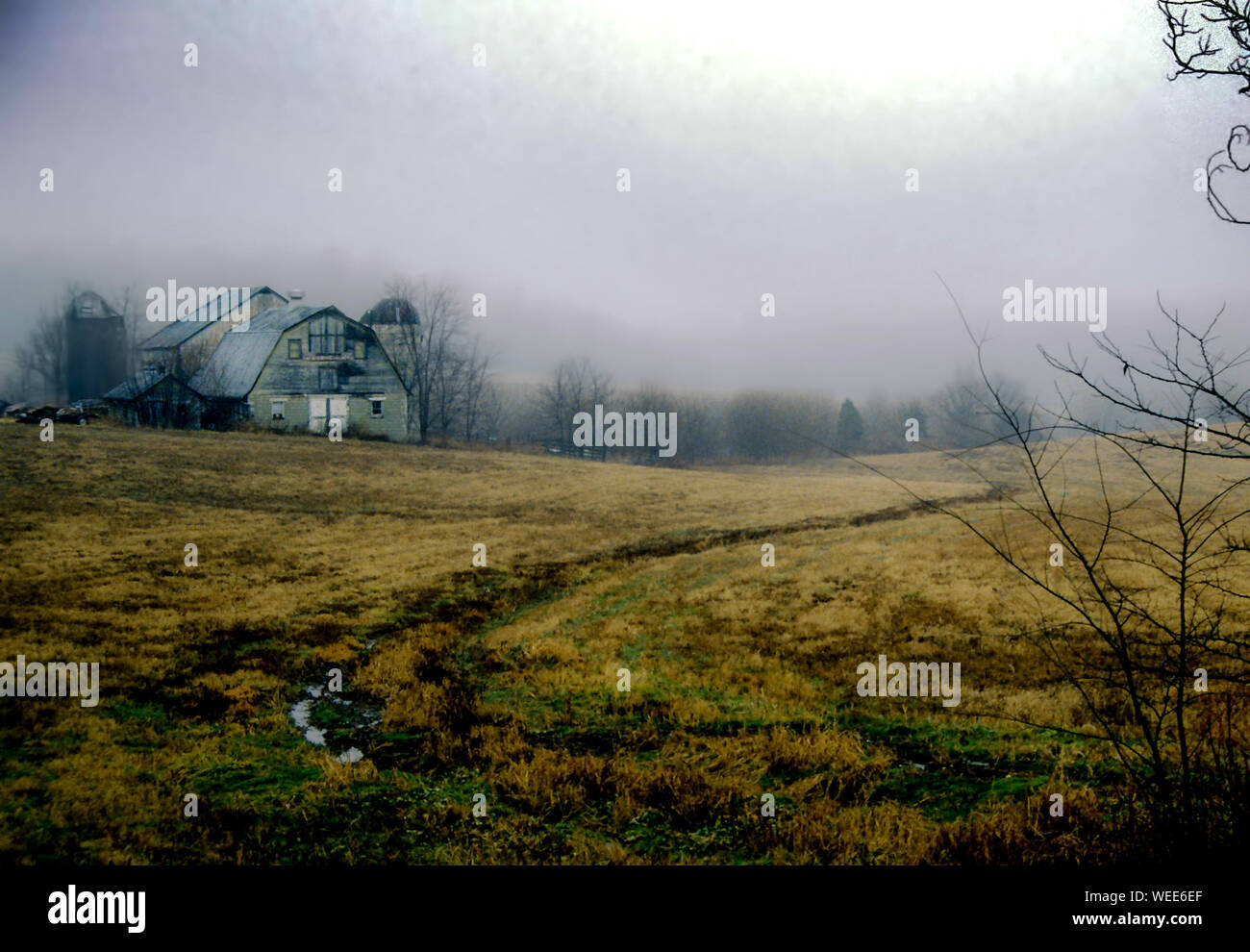 Mist On The Moors High Resolution Stock Photography and Images - Alamy