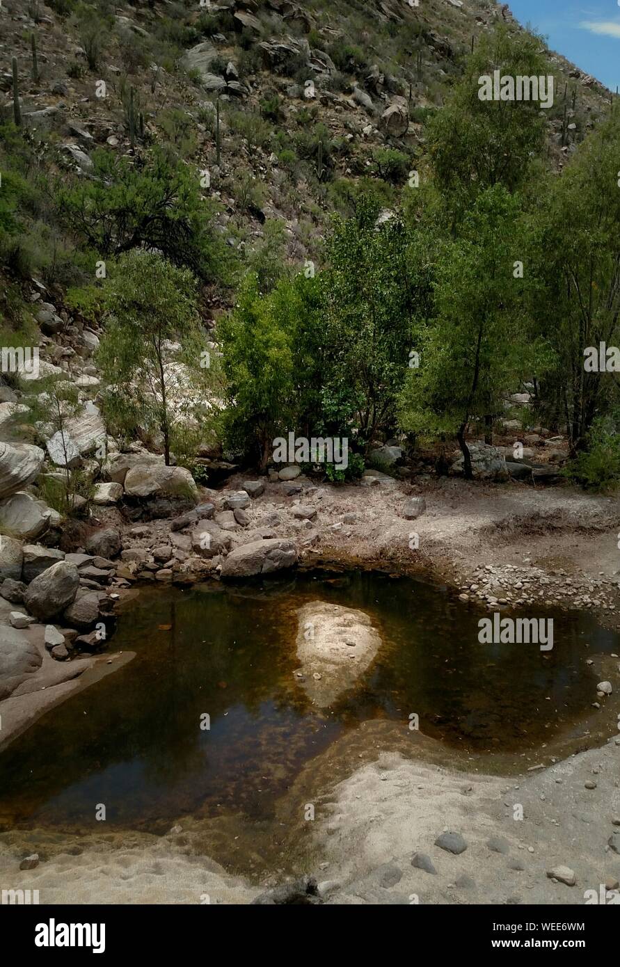 Puddle of dirt hi-res stock photography and images - Alamy