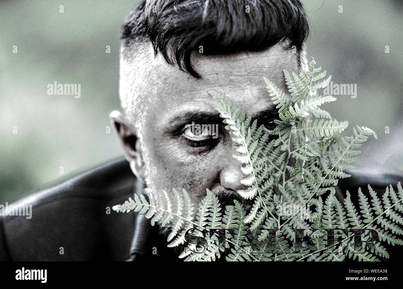 Stalker hi-res stock photography and images - Alamy