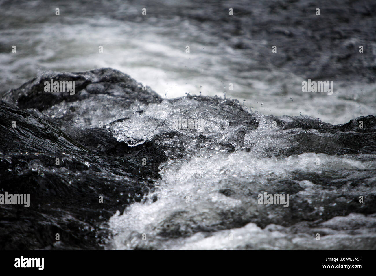 tumbling rushing waters of a turbulent shallow stream or river ...