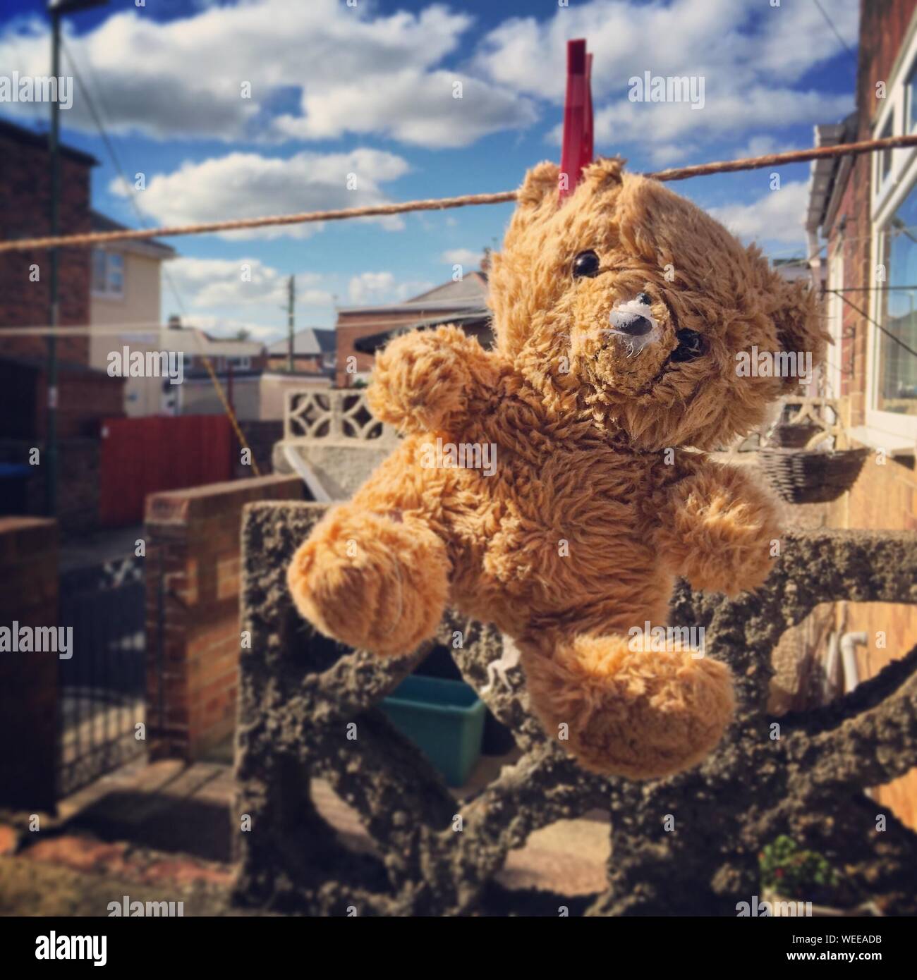 Teddy bear hanging clothesline hi-res stock photography and images - Alamy