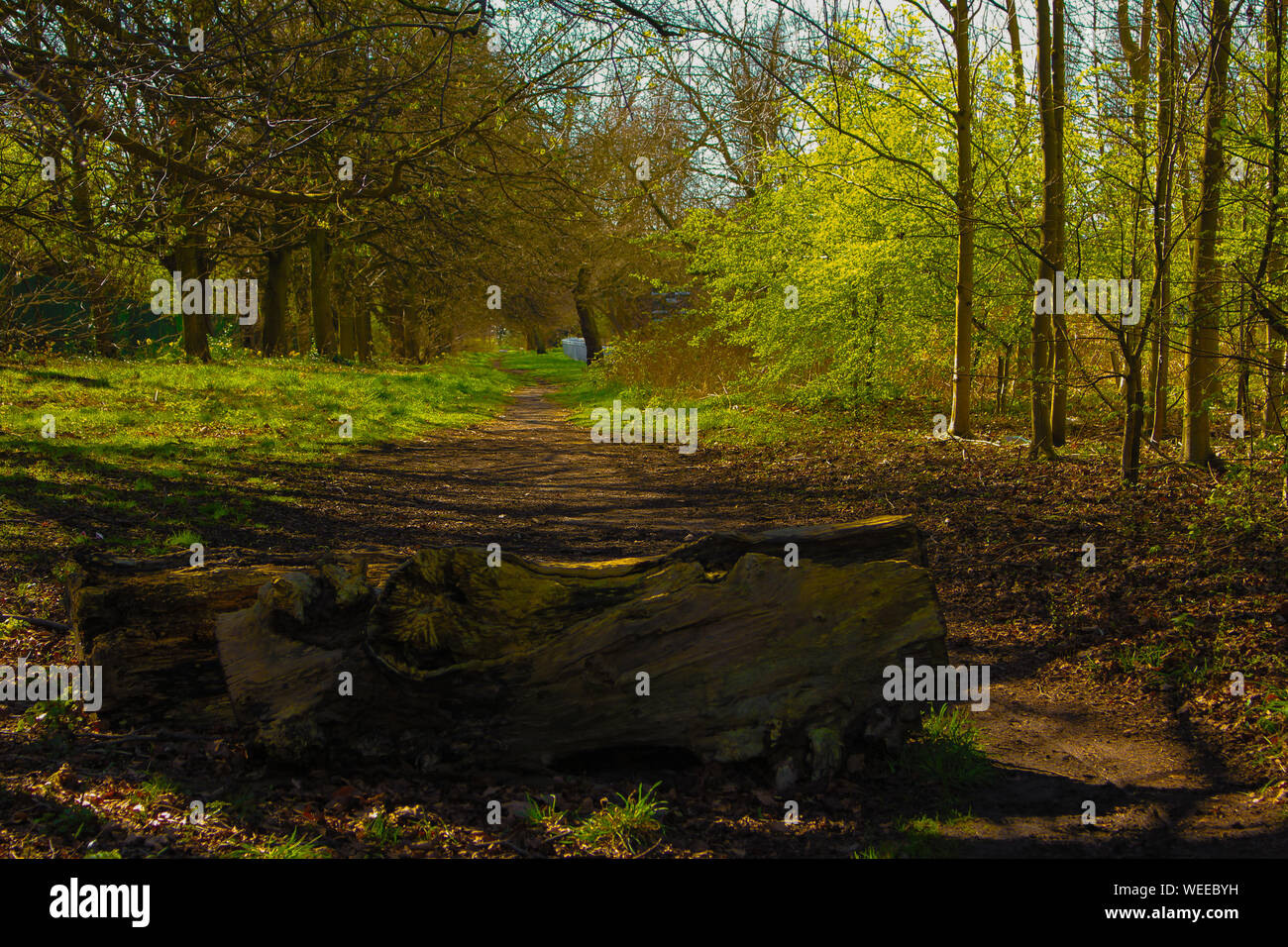 Liverpool, England, UK, The United Kingdom - beautiful landscape ...