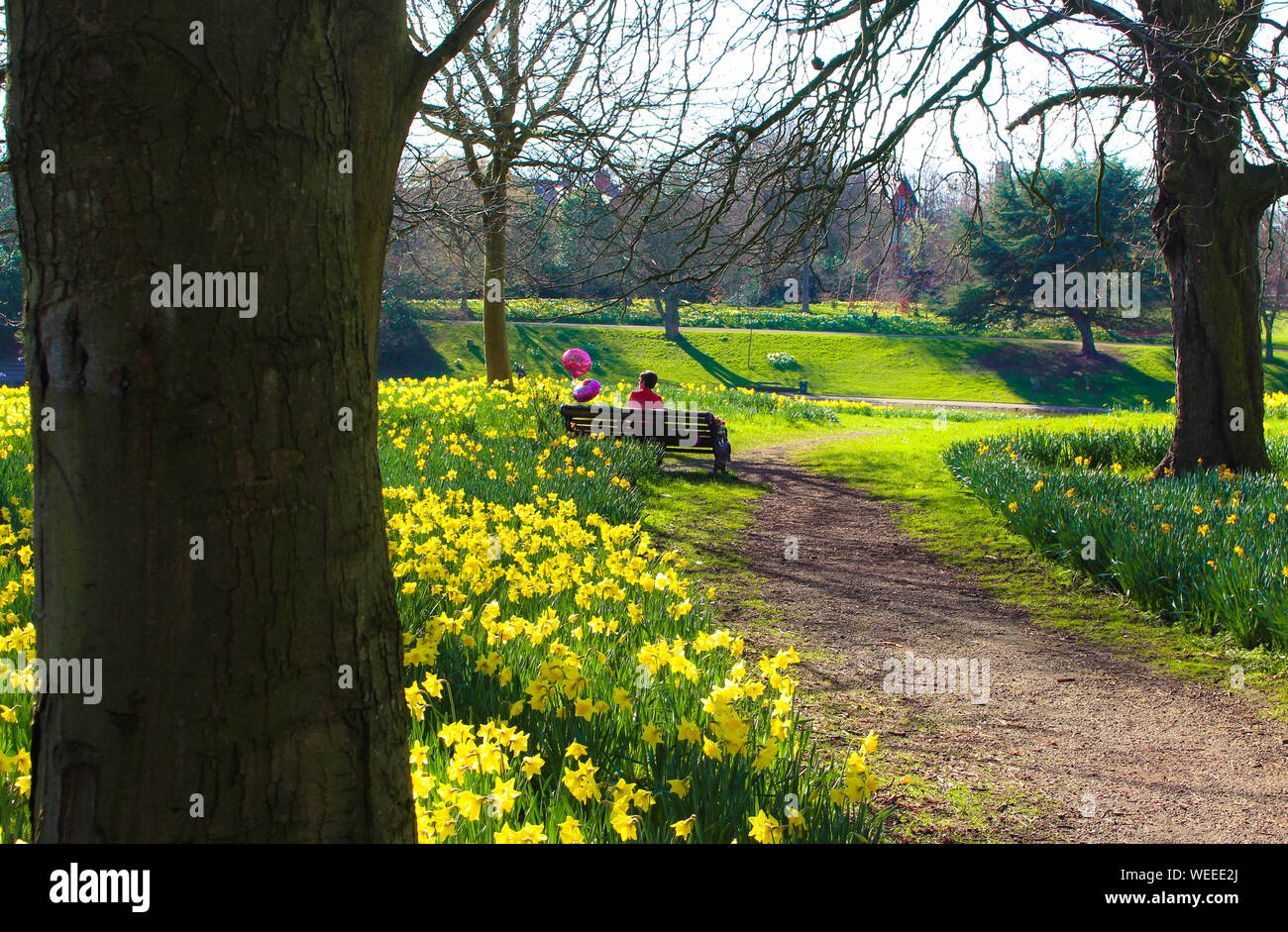 Liverpool, England, UK, The United Kingdom - beautiful landscape ...