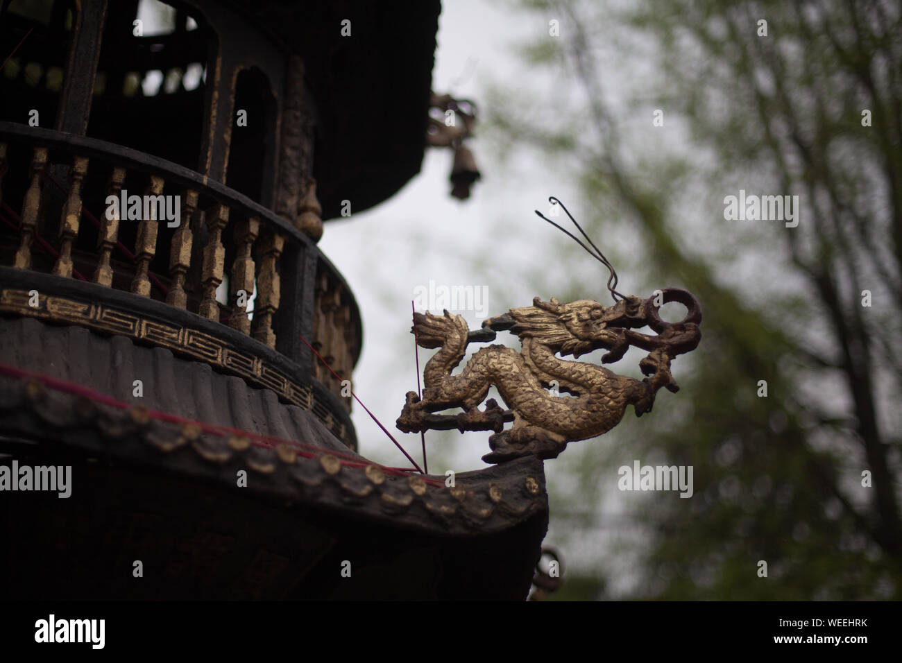 Small dragon hi-res stock photography and images - Alamy